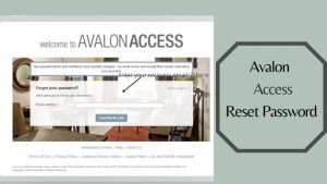 Avalon Access - AvalonAccess Login At AvalonAccess.com